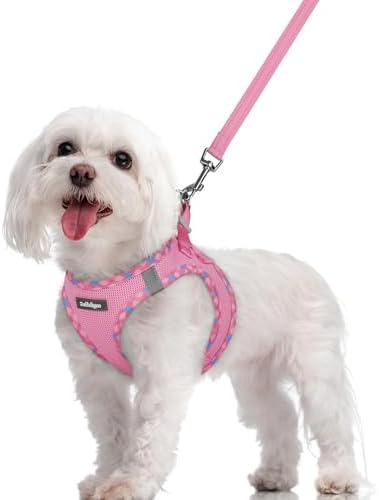 Amazon.com : rabbitgoo Dog Harness Small Sized and Leash Set, Step in ...