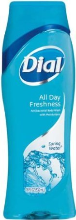 Amazon.com : Henkel Dial Spring Water, 16 Oz : Bath And Shower Gels ...