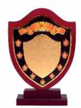 SOVEREGIN Creation Wooden Shield Stand Momento 13 INCH : Amazon.in ...