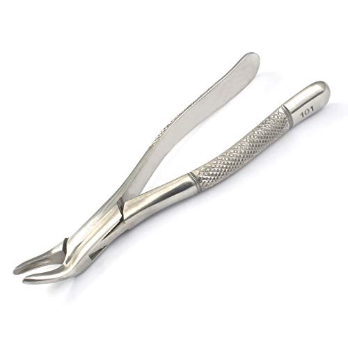 Amazon.com: G.S Root EXTRACTING Forceps # 101 Upper and Lower BICUSPIDS ...