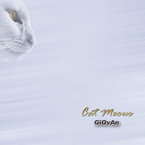 Play Cat Meows by Giovan on Amazon Music Unlimited