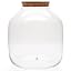 Extra Large Terrarium Glass Jar with Cork Lid, H: 38cm - Closed ...