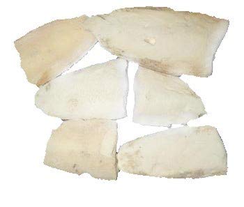 Samudra fen I Cuttle Fish Bone I Samudrer Phena I Kadala Neere I Sepia ...