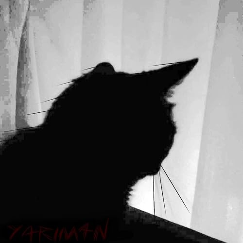 Amazon Music UnlimitedでY4RIM4Nのmy plan b is the gun in my drawerを