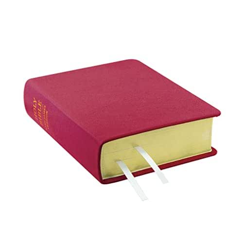 Amazon.com: LDS Scriptures Hand-Bound Red Plum Genuine Leather Holy ...