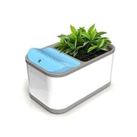 Eva-Dry Dewplanter Compact 2-in-1 Dehumidifier & Self-Watering Indoor ...