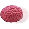 Rurunklee Brain Stress Ball Toy,Realistic Halloween Squishy Toys ...