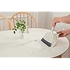 Amazon.com: Broombi Brush & Dustpan with Mini Pet Hair Remover : Health & Household