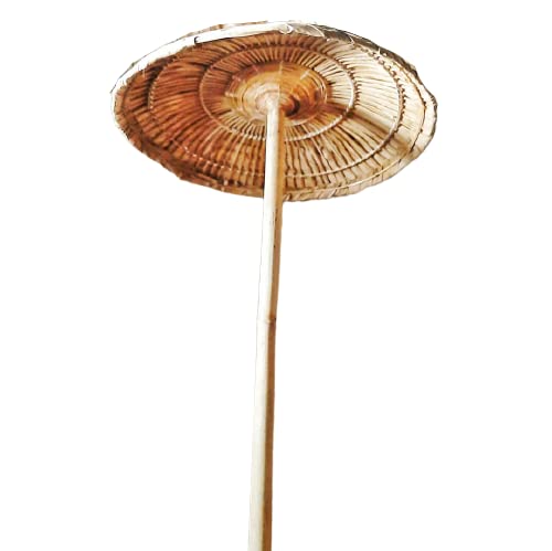 Buy OLA KUDA COSTUME WOODEN FINISHED (X-LARGE) Online at Low Prices in ...