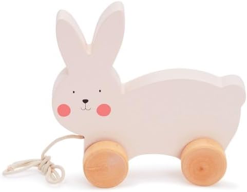 Bubble Wooden Rabbit Pull Along Toy : Amazon.com.au: Toys & Games
