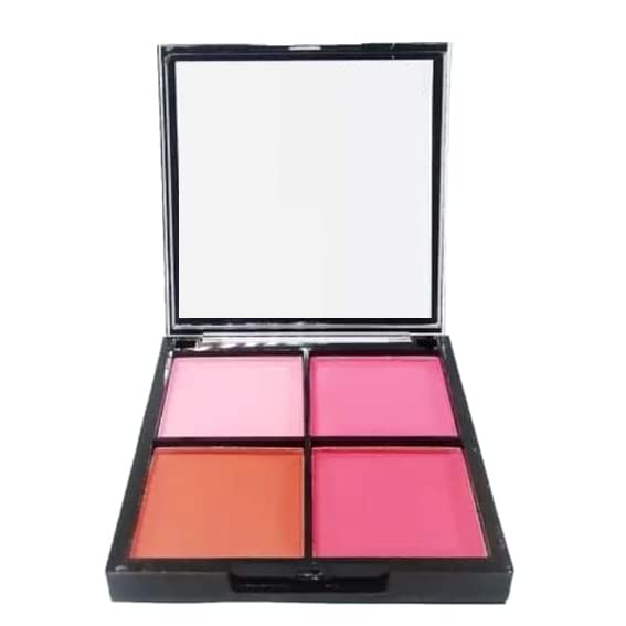 Buy MINI BLUSHER KIT Online at Low Prices in India - Amazon.in