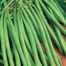 NurseryNature Beans, Sem Phali Hybrid Seeds : Amazon.in: Garden & Outdoors
