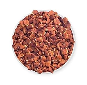 Dried Mahua Flowers 100G (Madhuca Longifolia) | Illipe Dried Flower ...