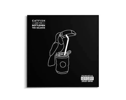 Amazon.com: Catfish And The Bottlemen poster, Catfish And The Bottlemen ...