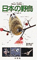Japan of Wild Birds (Field Guide) | Amazon.com.br
