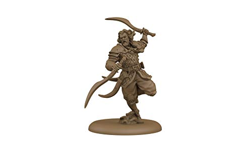 Snapklik.com : A Song Of Ice And Fire Tabletop Miniatures Stormcrow ...