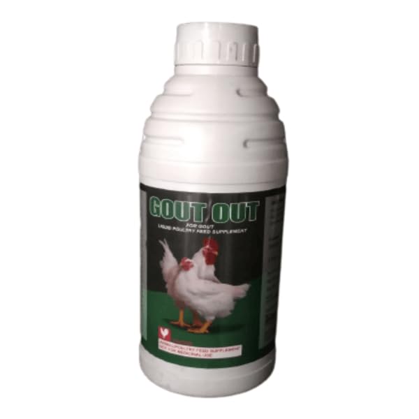 Gout-Out Liquid Poultry Feed Supplement for Gout (5 LTR) : Amazon.in ...