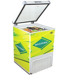 Western Deep Freezer 150H : Amazon.in: Industrial & Scientific