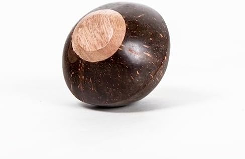 Sarveda Mini Coconut Shaker | Ethnic Musical Instrument (Round ...