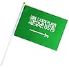 Amazon.com: 25 Pack Hand Held Small Mini Flag Saudi Arabia Saudi ...