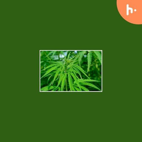 Amazon.com: Rick Simpson Oil : Rick Simpson Oil: Books