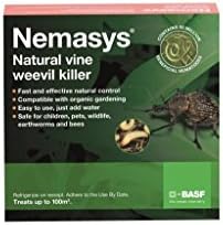 BugClear Ultra Vine Weevil Killer Insecticide : Amazon.co.uk: Garden