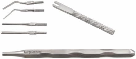 Amazon.com: Dental Periotome Kit Interchangeable Tips : Health & Household