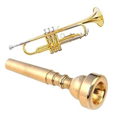 Sai Musical Instrument Trumpet Mouthpiece for Bach 7c Size Gold Plated ...