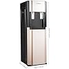 Amazon.com: TMHWYP Bottom Loading Water Dispenser for 5 Gallon Bottle ...