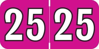 Amazon.com : 500pcs 2025 Year Labels, File Folder Stickers - Color ...