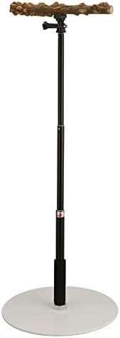 Amazon.co.jp: Bird Playstand, Perch, Parrot Stand, Bar Druck, Bird ...