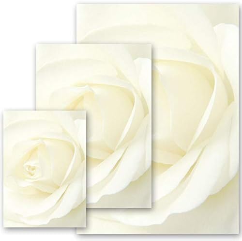 50 Sheets Motif Letter Paper! Flowers Motif, Rose Motif White Rose DIN ...