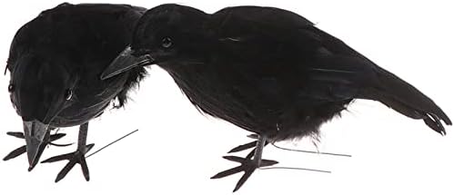 Amazon.com: Darnassus 3-Pack Halloween Black Feathered Crow Realistic ...