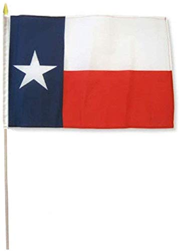 Amazon.com : AES 12x18 12"x18" State of Texas Stick Flag 30" Wooden ...