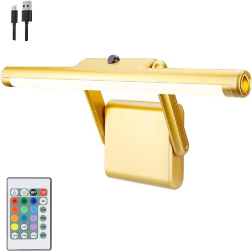 BIGLIGHT Rechargeable Picture Light with Remote,Wireless Painting Light ...