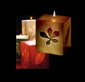 Amazon.com: Leaf Cube - High Illumination 4x4 Candle - Bullfrog Candles ...