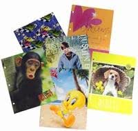 Amazon.com : 99106 Grab Bag Pocket Folders : Project Folders : Office ...