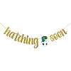 Amazon.com: Dalaber Hatching Soon Banner, Dinosaur Baby Shower ...