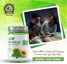 LION Papaya (Papita) Leaf Powder 100 Gm(Pack of 3) : Buy Online at Best ...