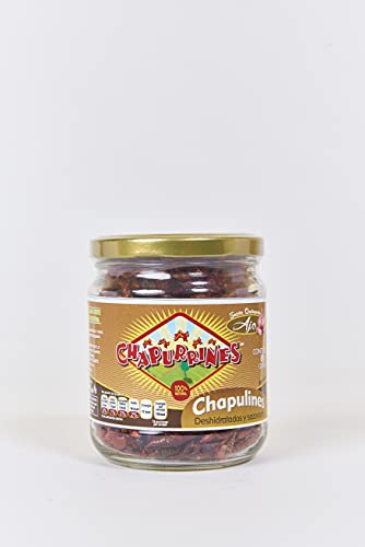 🥇 Lugares para comer CHAPULINES en México 🦗 | Be México