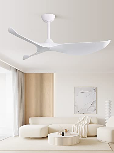 The 10 Best Ceiling Fan No Light
