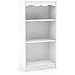 Amazon.com: Sonax Hawthorn Tall Bookcase, 48", Frost White : Home & Kitchen