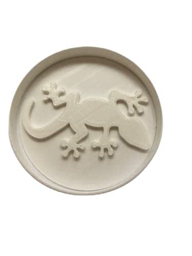 Amazon.com: Gecko Lizard Shaped Fondant Cookie Cutter and Stamp #1520 ...