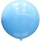 Amazon.com: Neo LOONS 36 Inch Giant Confetti Balloons, Silver Latex ...