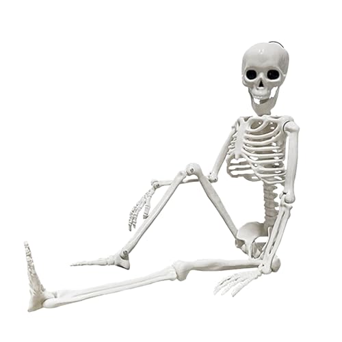 VidFair Skeleton Posable Halloween Full Body Skeleton Props Realistic ...