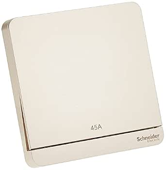 Schneider Electric E8331D45N_WG AvatarOn Gold- 45A 250V Double Pole ...