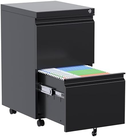 Amazon.com: Lorell 42291 Vertical File, 22-Inch Deep, 2-Dwr, Letter, 15 ...