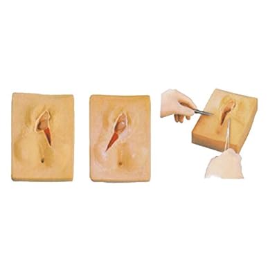 GHDE&MD PVC Vulva Lateral Perineal Australia | Ubuy