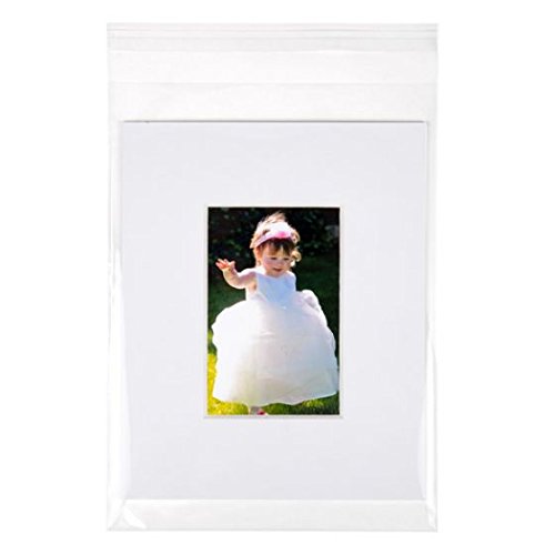 Amazon.com: ClearBags Crystal Clear Bags with Resealable Flap | Size: 8 ...