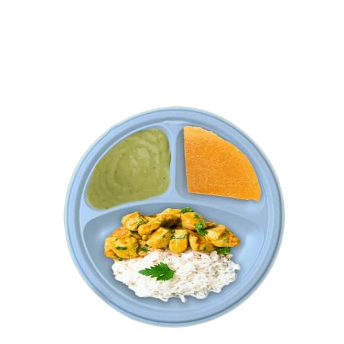 Buy Wonder Bio - Tab - Sugarcane Bagasse 100% Natural 10" inch 3CP ...